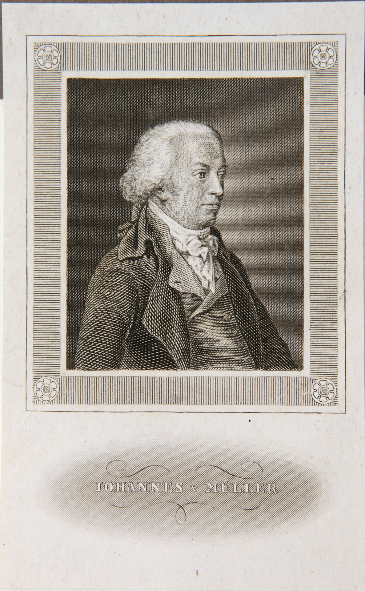 Portretul lui Johannes Muller